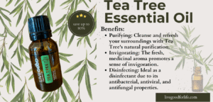 Discover the Benefits and Uses of Tea Tree Oil