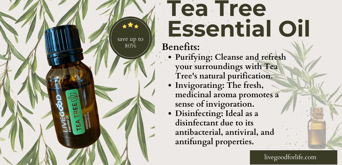Discover the Benefits and Uses of Tea Tree Oil