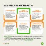 The 6 Pillars of Health: Your Guide to Optimal Well-Being