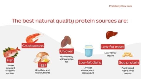Top 20 High-Protein Foods: Essential Protein Sources for Your Diet
