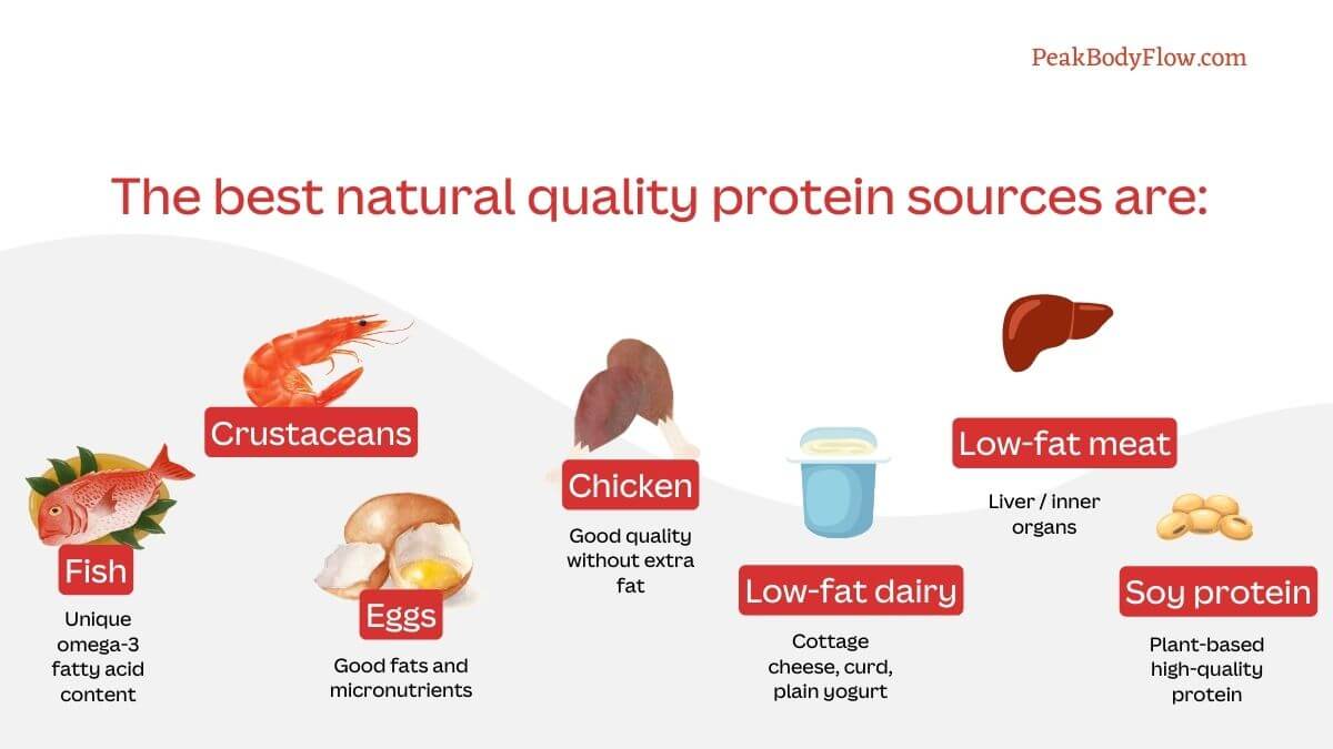 Top 20 High-Protein Foods: Essential Protein Sources for Your Diet ...