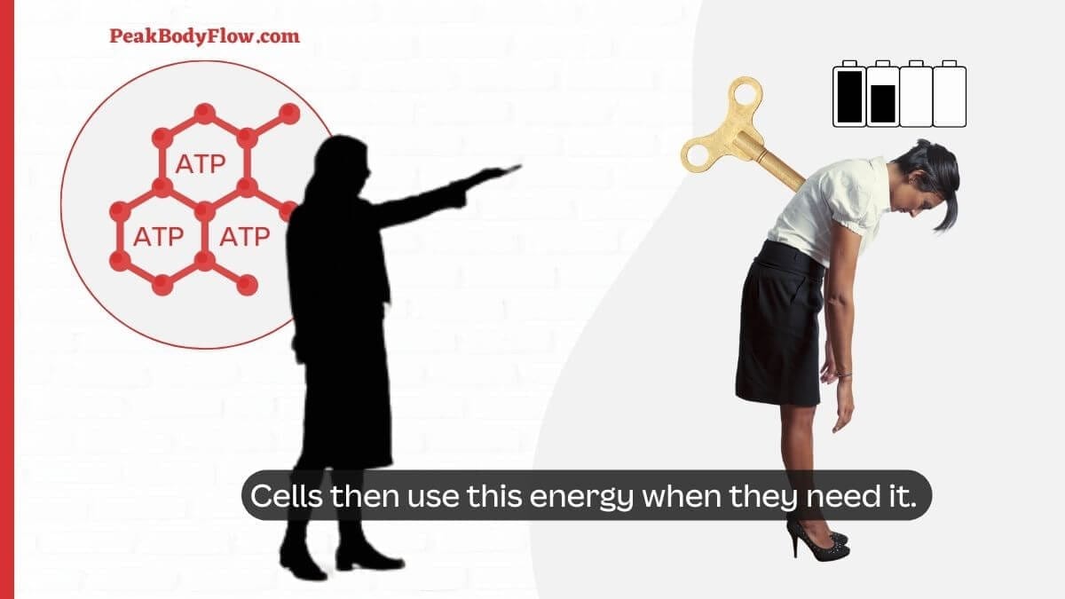 Understanding Calories: Health Needs and Daily Requirements Explained