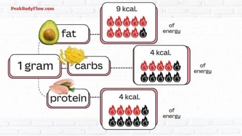 Understanding Calories: Health Needs and Daily Requirements Explained