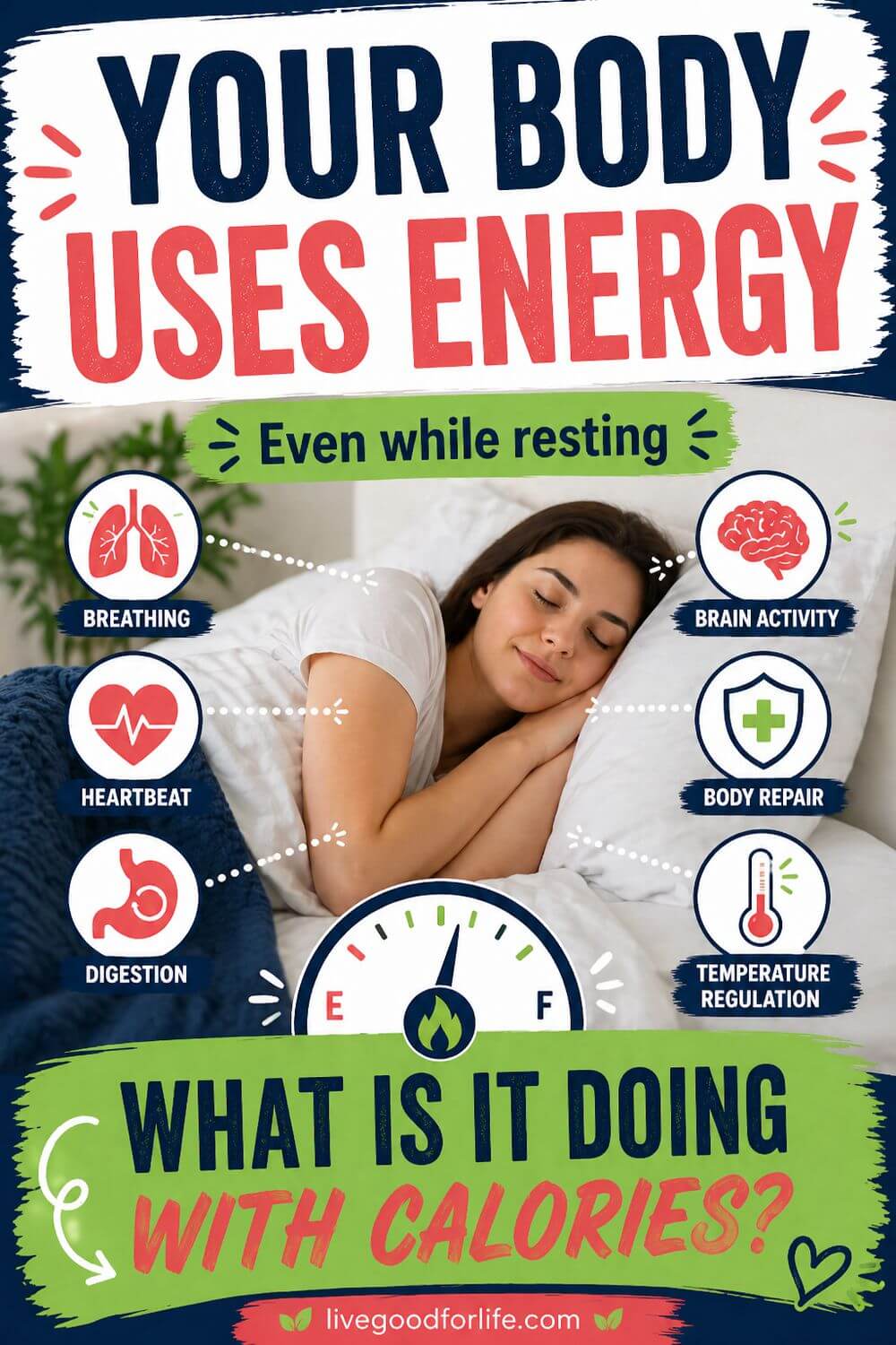 Calories Guide: Energy Balance, Food Quality, BMR, TDEE & Safety Tips